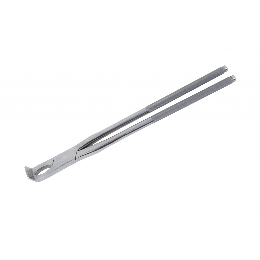 Stomatology equipment for equine and veterinary dentistry.