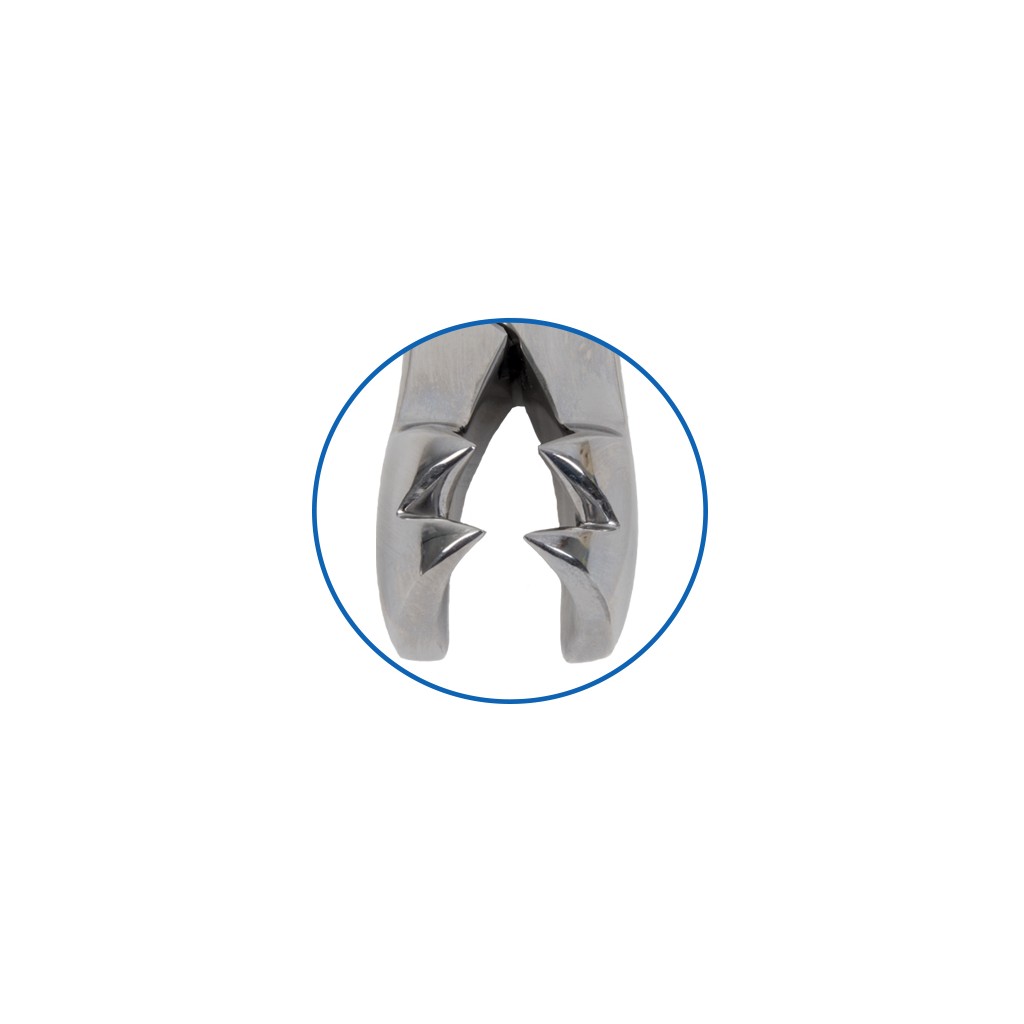 Matériel de stomatologie pour la dentisterie équine et vétérinaire.