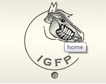 IGFP congress - Equus Dental Harmony